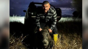 Konya’da yaban domuzunu elleriyle yakalama anı kamerada - Yeni Meram ...